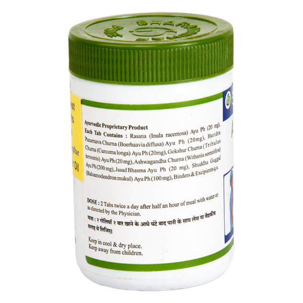 ARCO TABLET SHARANGDHAR AYURVEDA-Medicine for joint pain – Sharangdhar